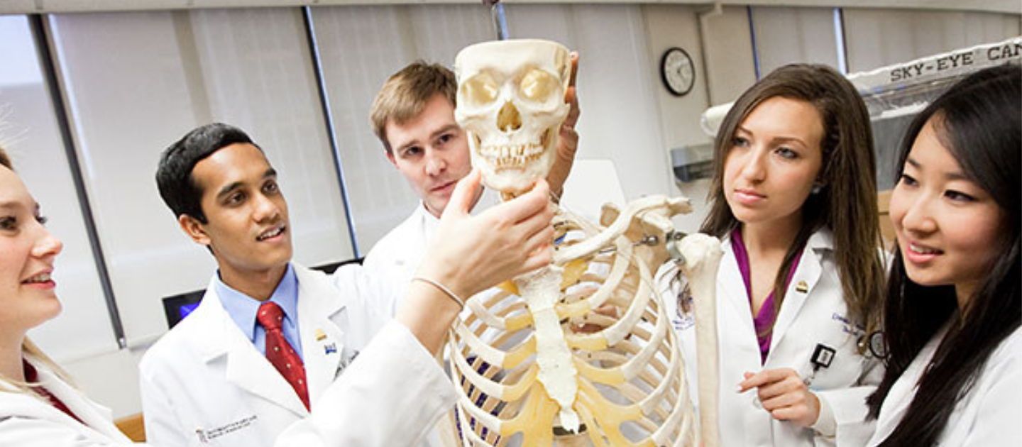 University of Maryland, Baltimore | Baltimore Collegetown Network